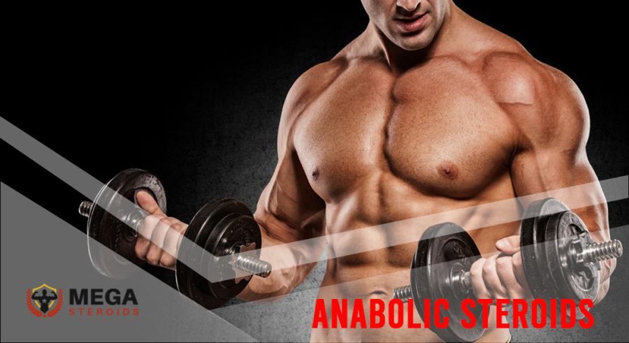 Anabolic Steroids: Uses, Benefits, Risks, and Safety - MEGA-STEROIDS.is
