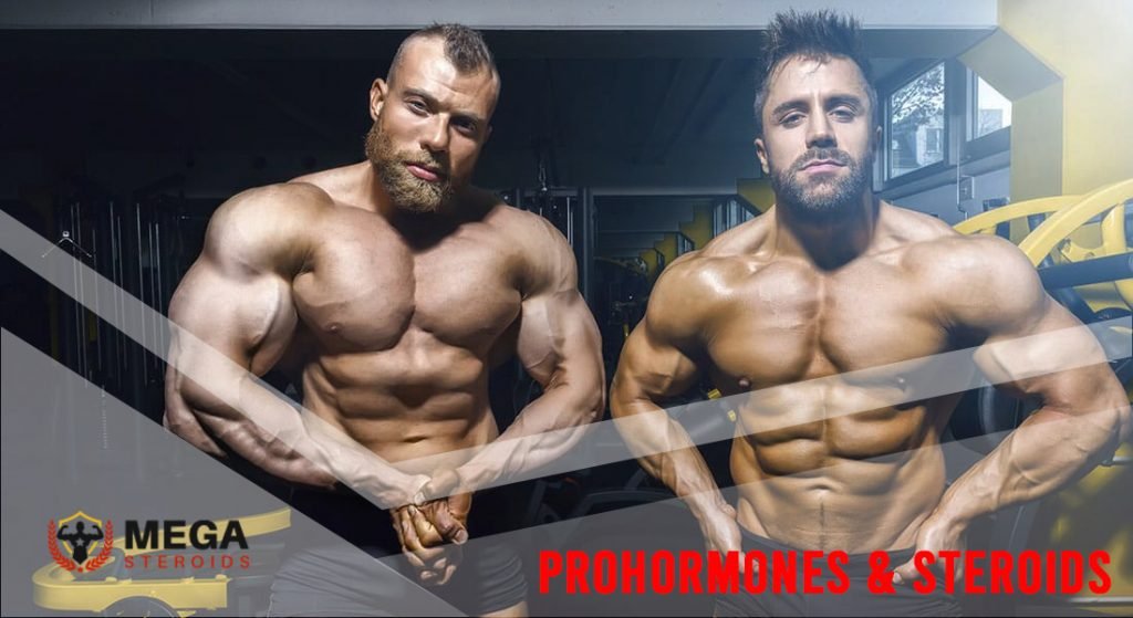 ¿Cuál es la diferencia entre prohormonas y esteroides? - MEGA-STEROIDS.is