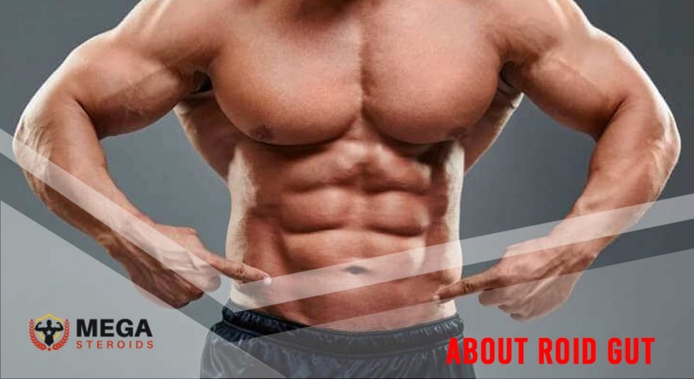 Everything need to know about Roid Gut and their Causes - MEGA-STEROIDS.is